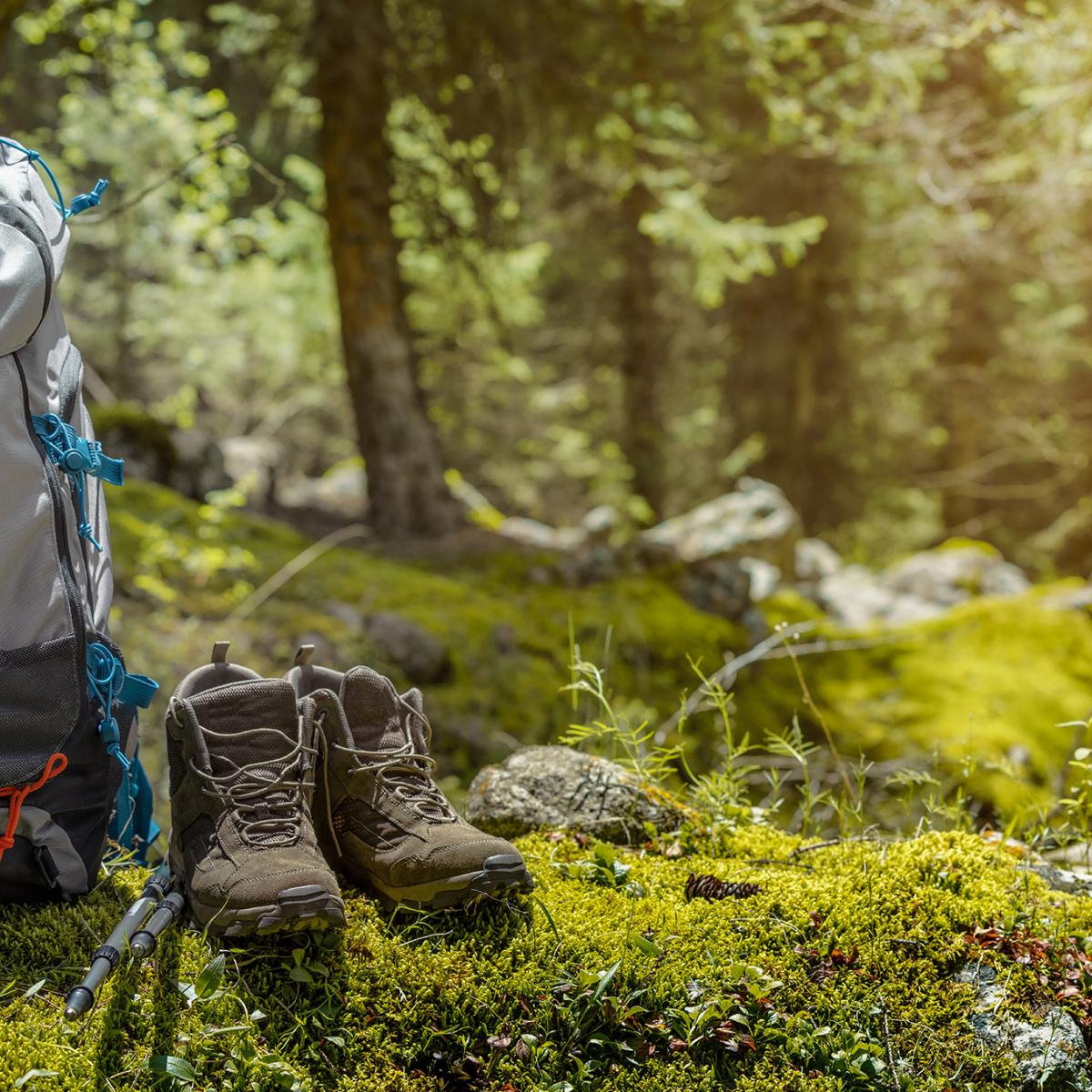 Site officiel de l’office de tourisme du Vallespir