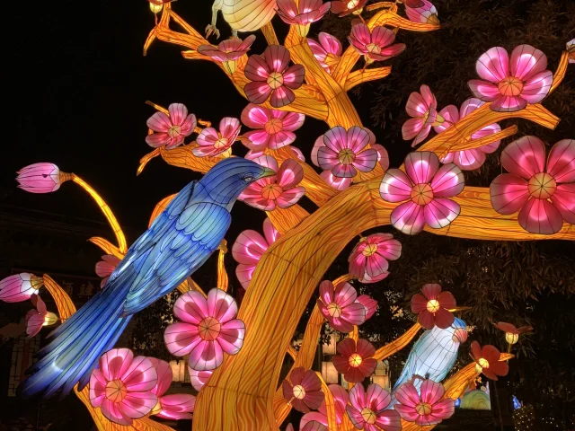 Splendeurs de Chine | Site officiel de l'office de tourisme du Vallespir