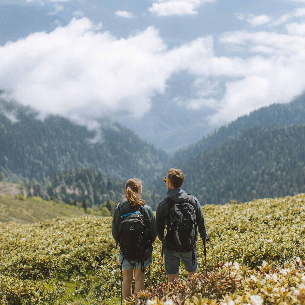 Site officiel de l’office de tourisme du Vallespir